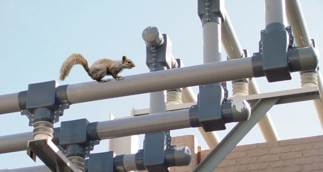 PROTECCIONES PROFAUNA - Plastic Dip Moldings